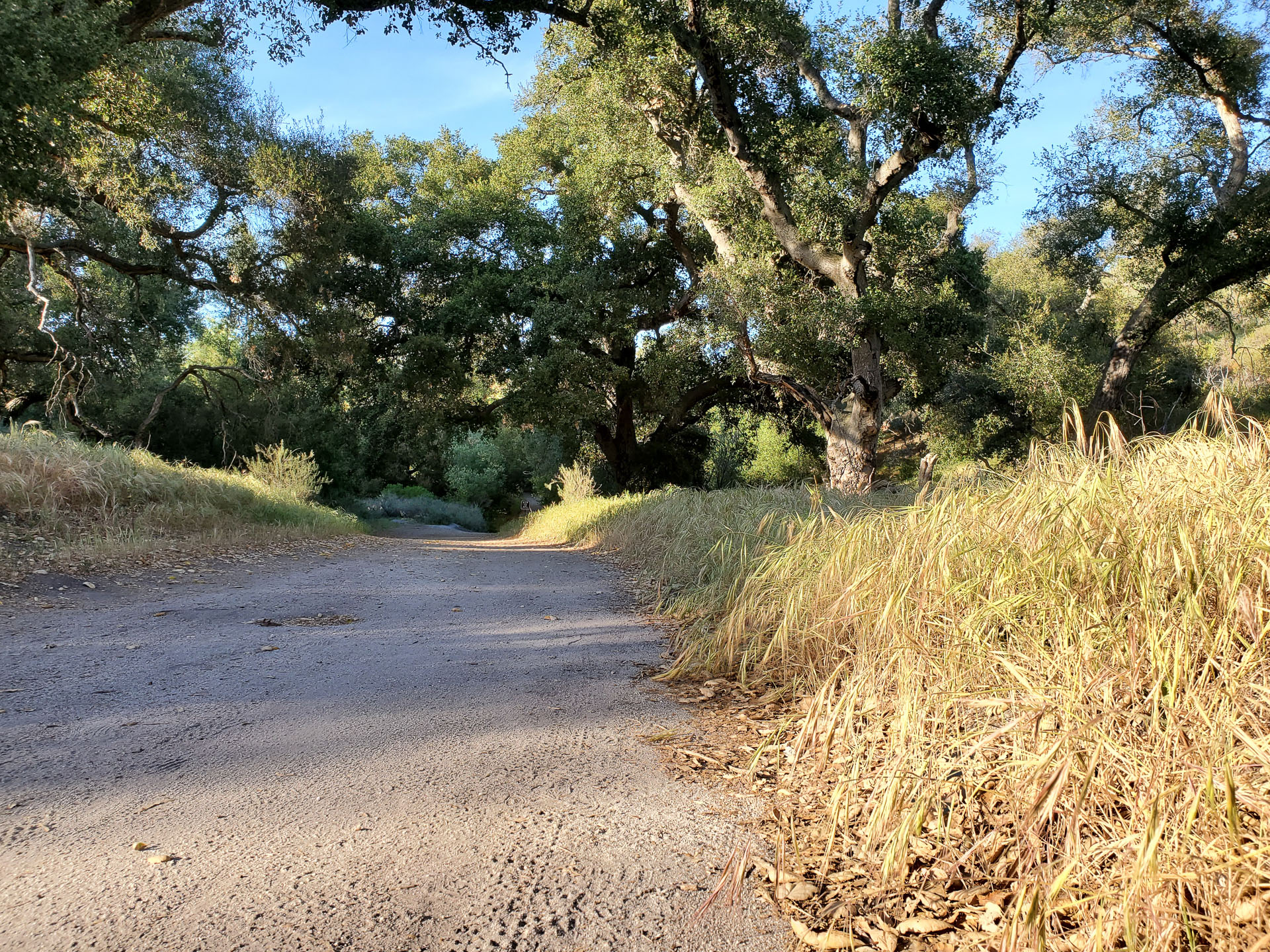 Whiting Ranch April 2021 - Fred Currie